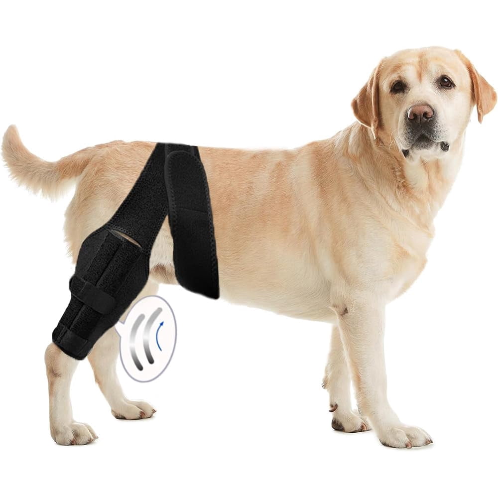 Dog Knee Brace for Torn ACL & Hind Leg Support – Adjustable Cruciate ...