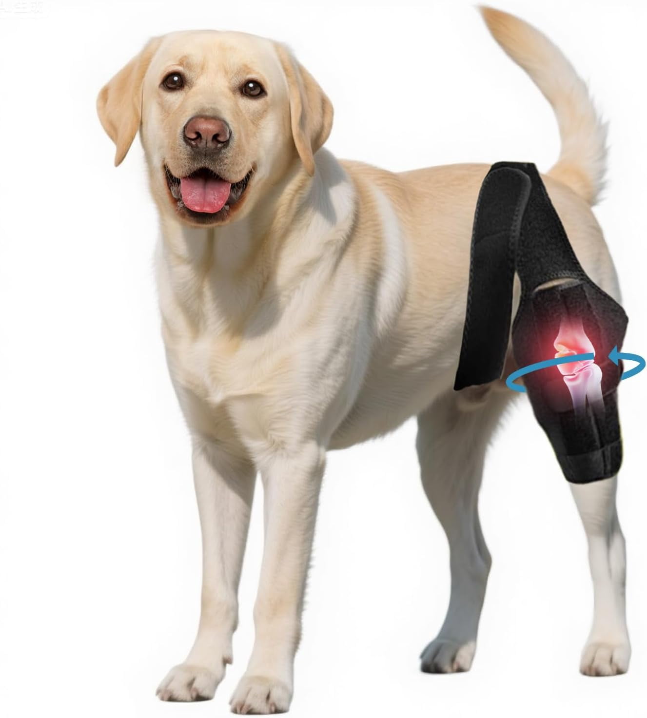 Dog Knee Brace for Torn Acl Hind Leg for Support with Cruciate Ligament ...