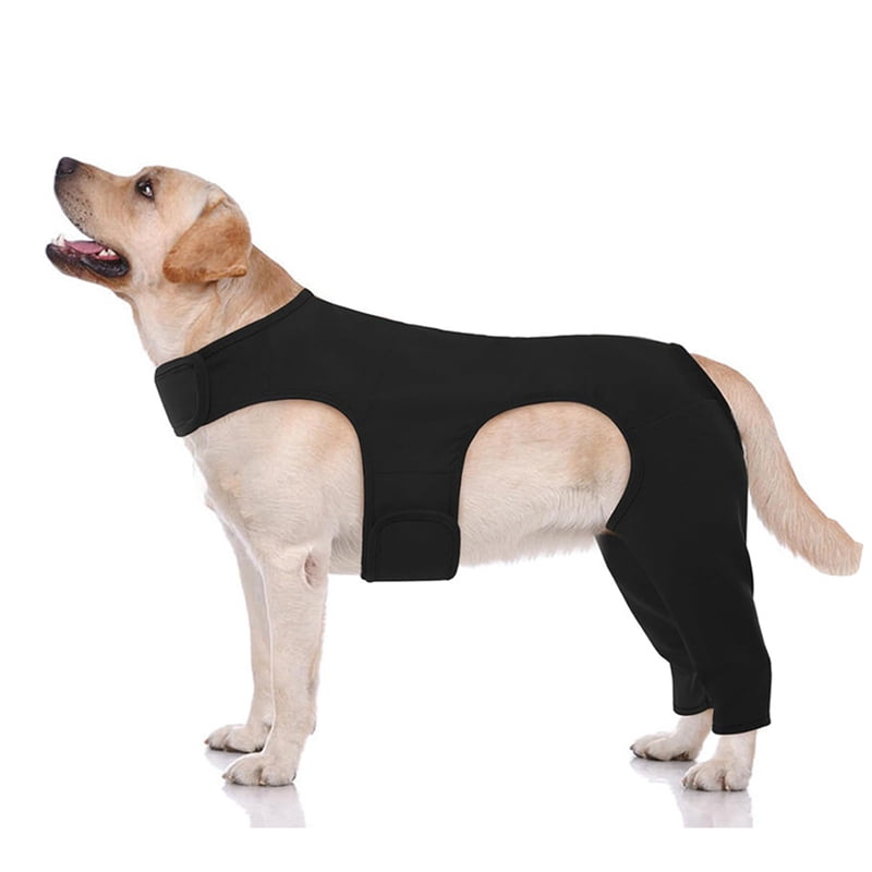 Dog Knee Brace for Torn ACL Hind Leg - Adjustable Dog Leg Braces for ...