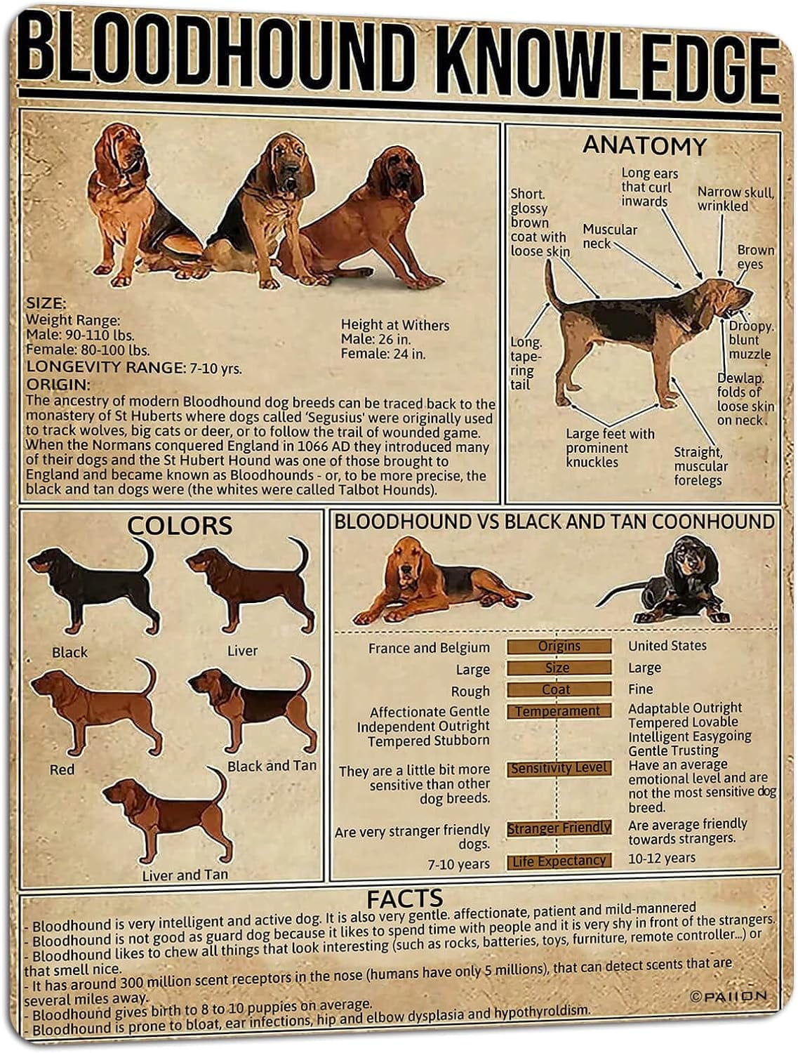 Dog Knowledge Metal Tin Sign Bloodhound Anatomy Chart Poster Retro Pet ...