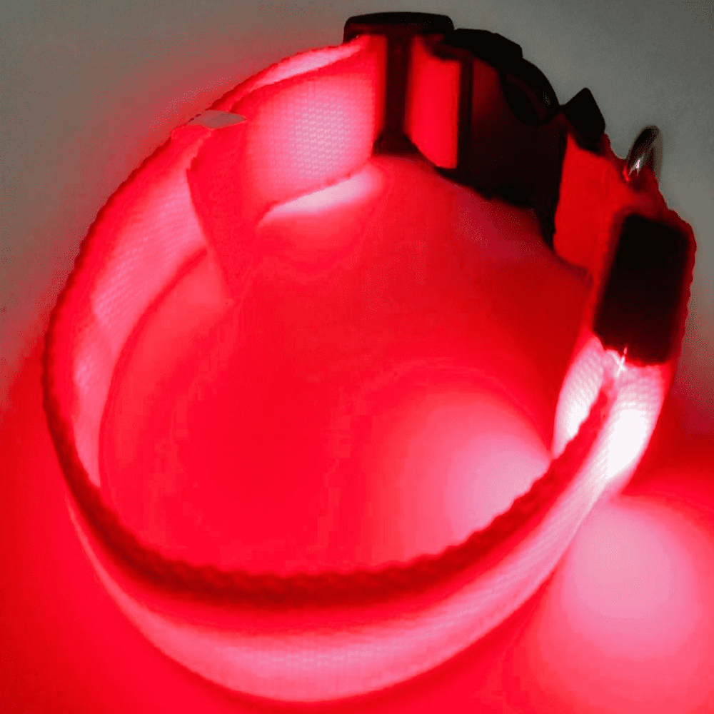 Dog LED rechargeable luminous collar adjustable reflective luminous ...