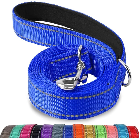 Dog Leash 4 FT Double-Sided Reflective Padded Handle Heavy Duty Nylon ...