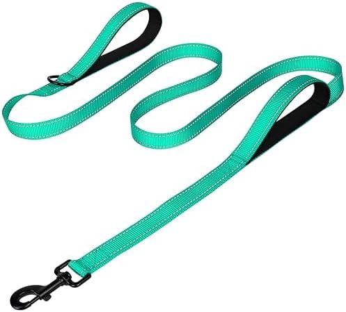 Dog Leash Heavy Duty for Large Dogs That Pull, Double Handle for ...