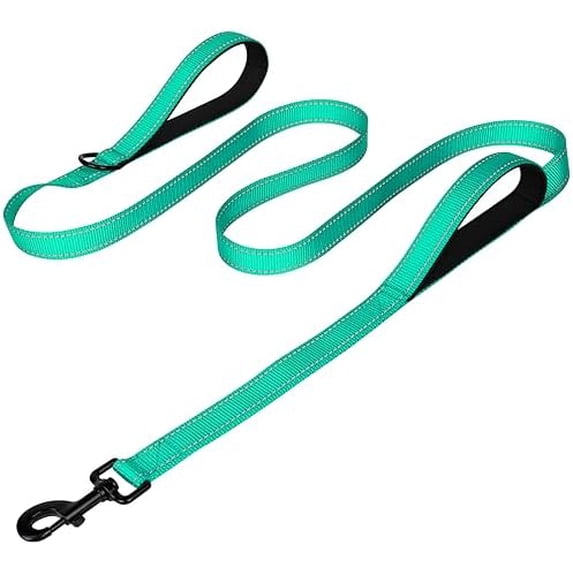 Dog Leash Heavy Duty for Large Dogs That Pull, Double Handle for ...