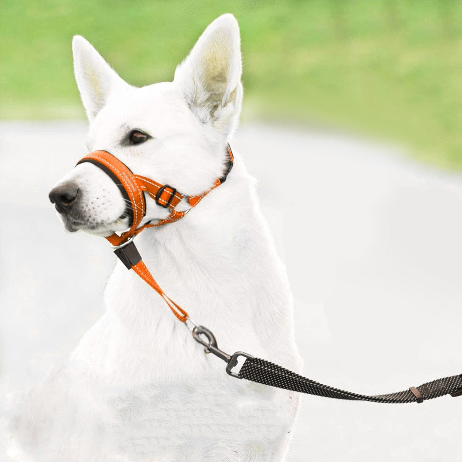 Dog Leashes for Training No Pull Head with Soft Padding Heavy Duty ...