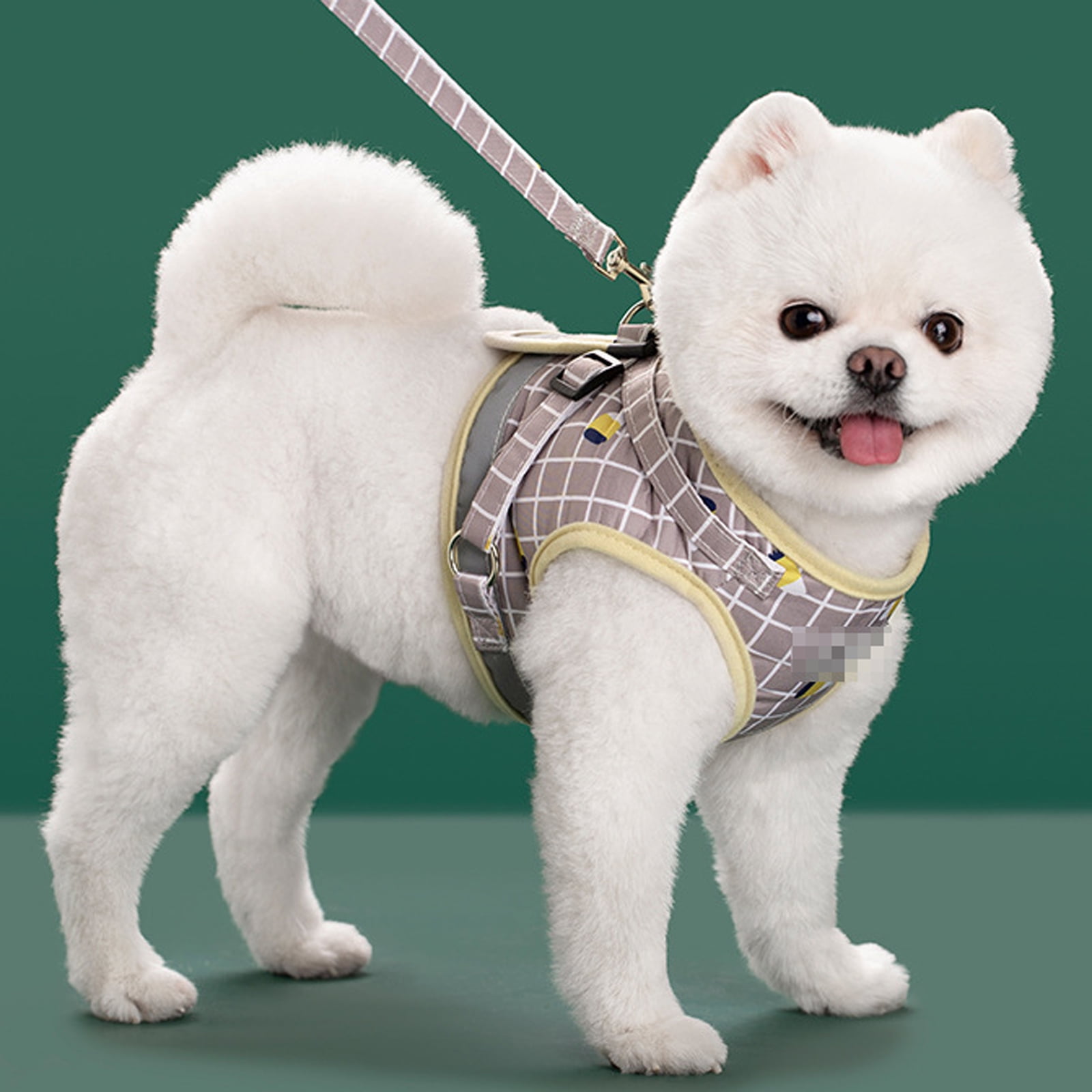 Dog Leashes for Small & Medium Dogs,Nylon Mesh Puppy Reflective Dogs ...
