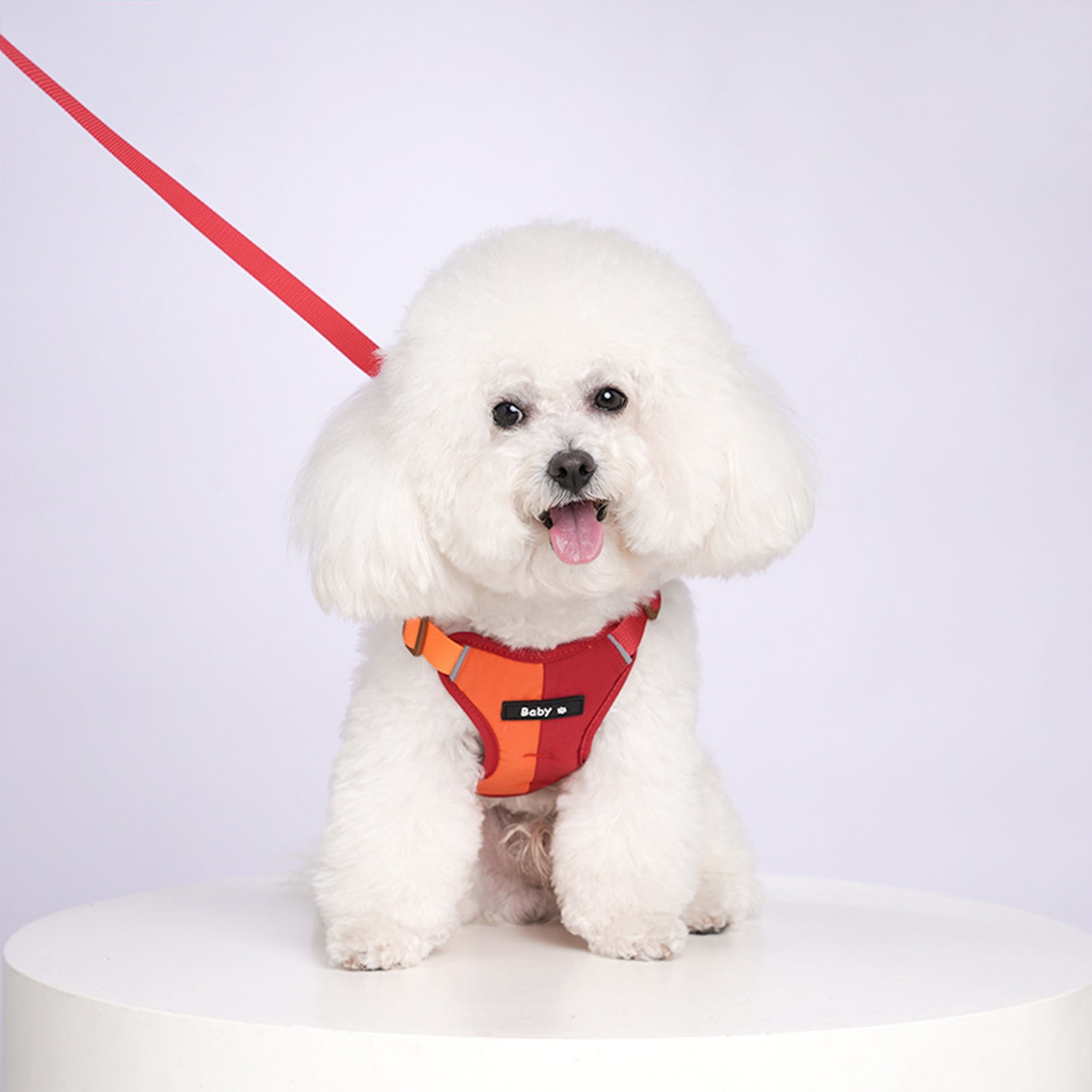 Dog Leashes for Small & Medium Dogs,Pet Dog Leash Set Small Medium Dog ...