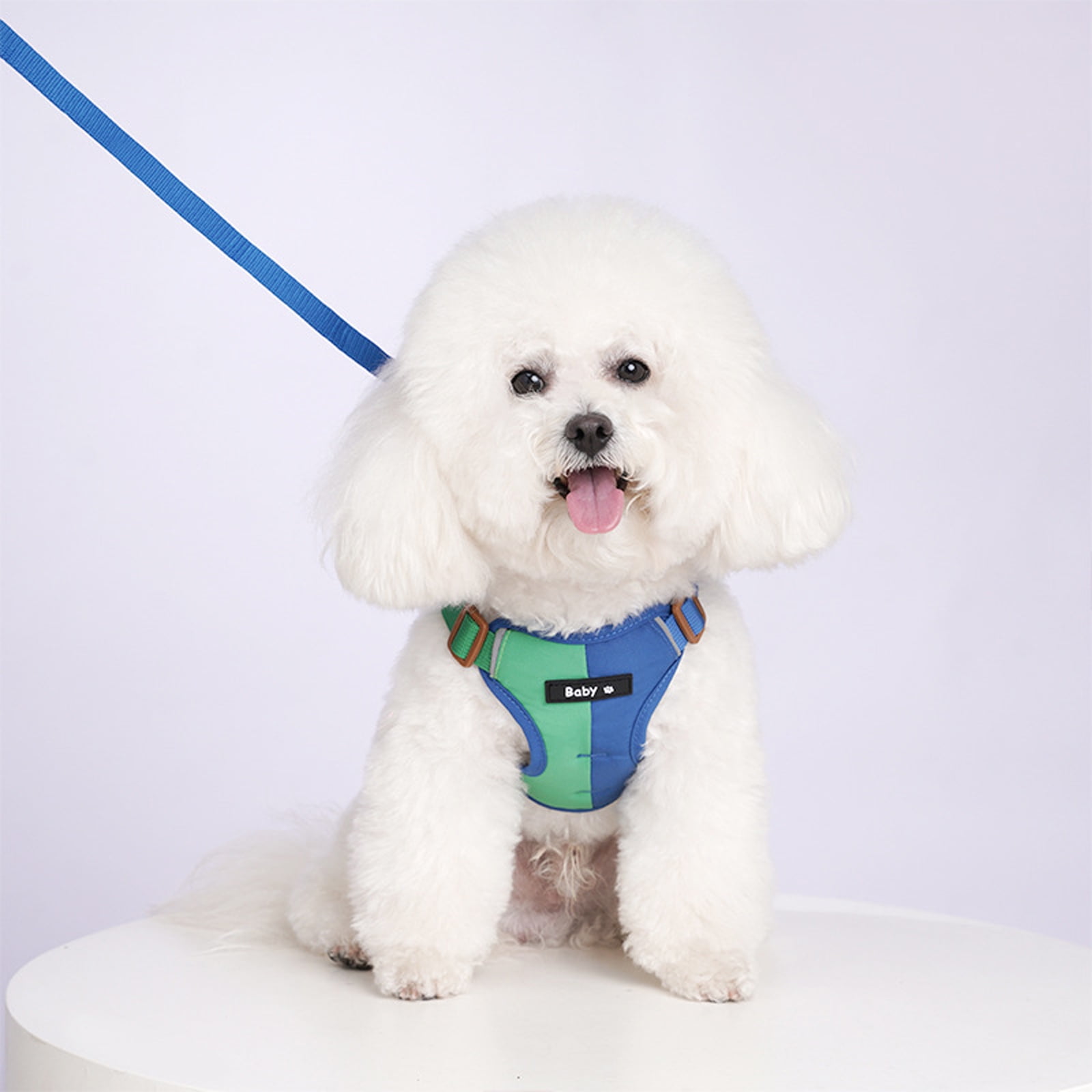 Dog Leashes for Small & Medium Dogs,Pet Dog Leash Set Small Medium Dog ...