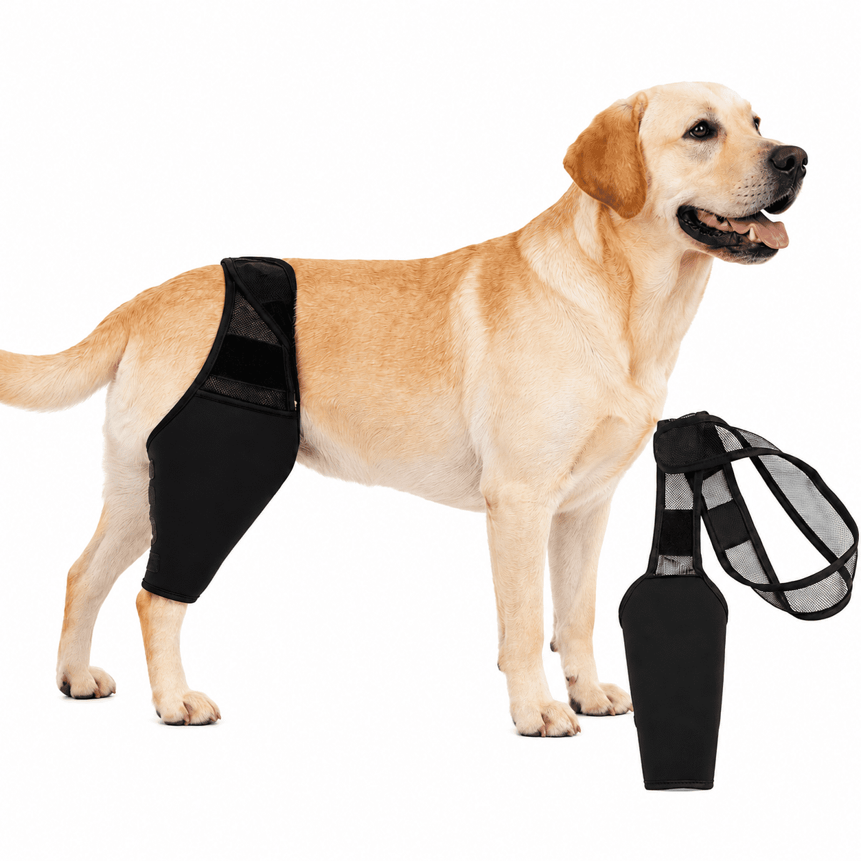 Dog Leg Brace for Front and Rear Legs, Adjustable Dog Knee Brace ...