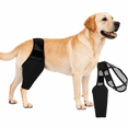 Dog Leg Brace for Front and Rear Legs, Adjustable Dog Knee Brace ...