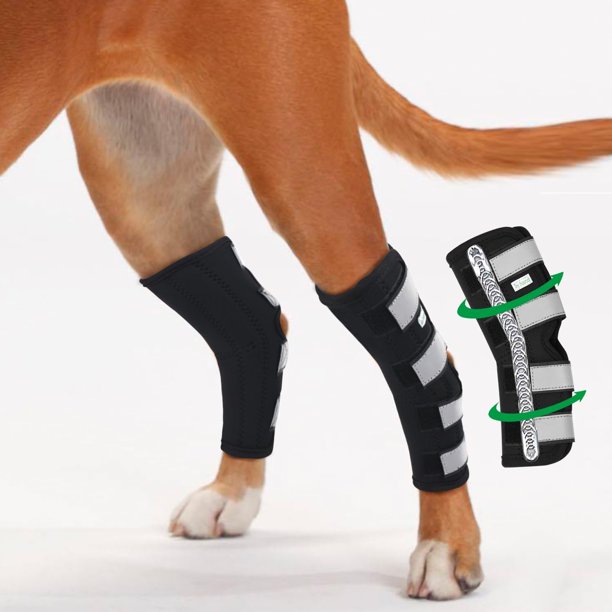 Dog Leg Brace, Pair of Canine Dog Leg Joint Wraps Compression Brace ...