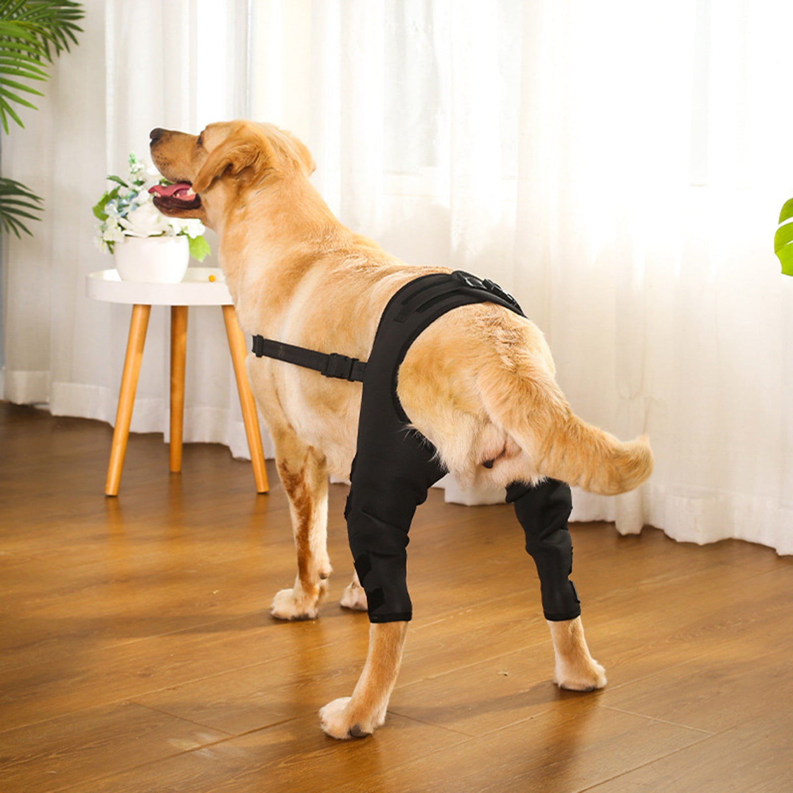 Dog Leg Brace for Joint Support Knee Compression Wrap for Injury Hock ...