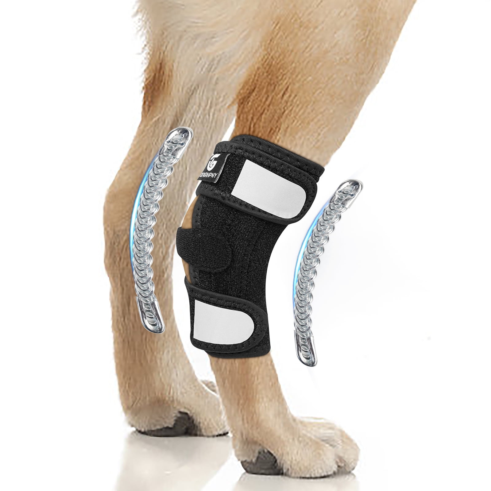 Dog Leg Braces Rear Leg Hock Ankle Brace with Metal Spring Inserts ...