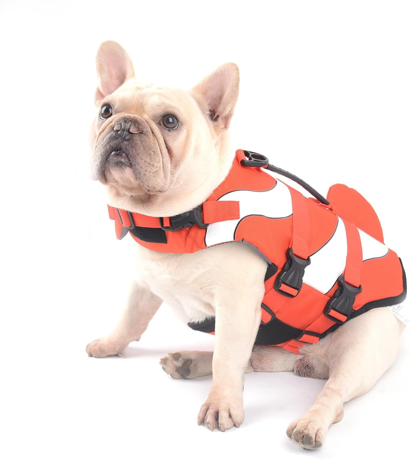 Dog Life Jacket Safety Vest for French Bulldog Pug - Clown Fish Design ...