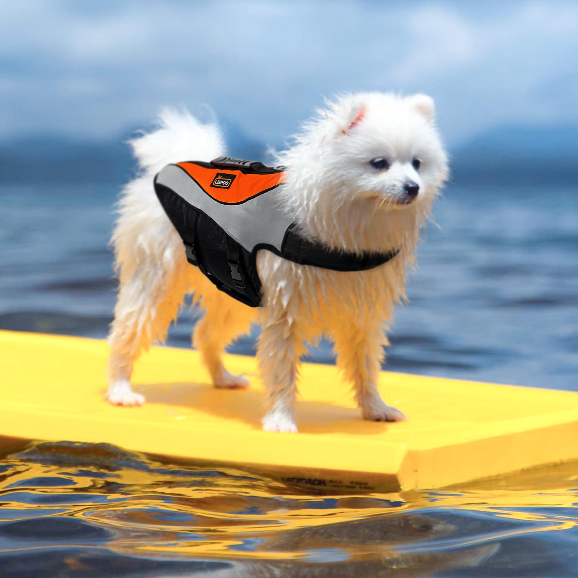 Dog Life Jacket & Swimming Safety Vest, Buoyant Float Coat with Handle ...