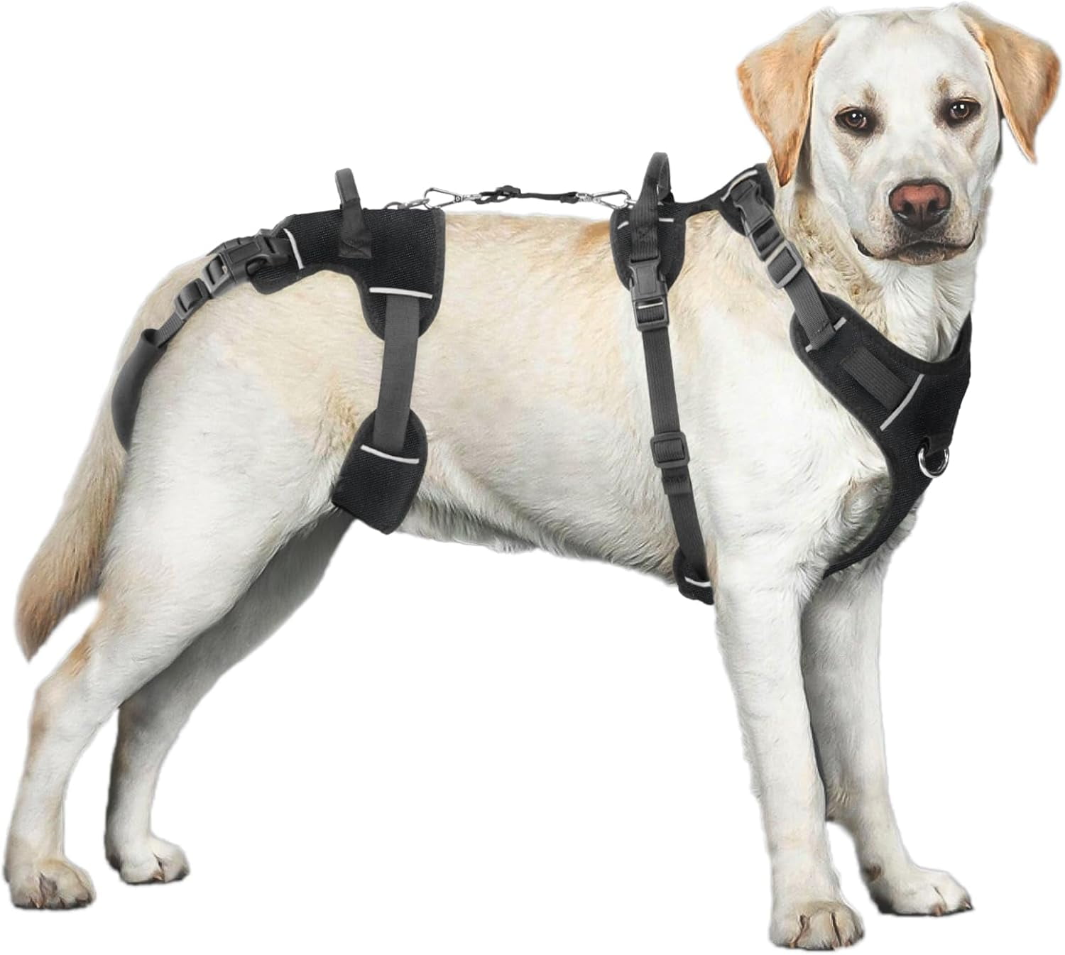 Dog Lift Harness, Dog Lift Sling Carrier with Handle & Shoulder Sling ...