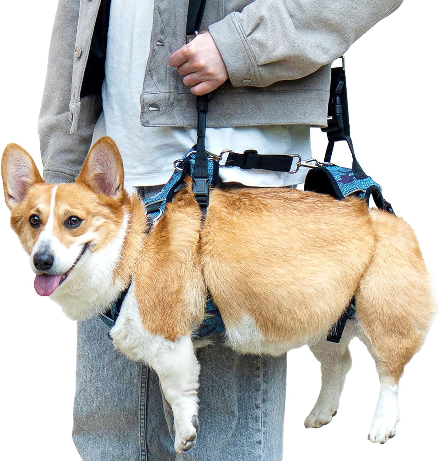 Large Dog Backpack Carrier PETCUTE Dog Backpack Carrier For Small/Large ...