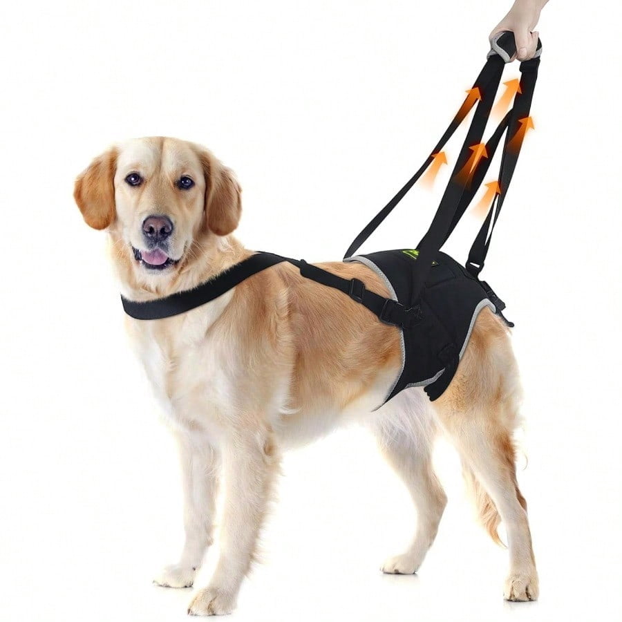 Dog Lift Harness For Extra Large Dogs Dog Harness With Handle For ...
