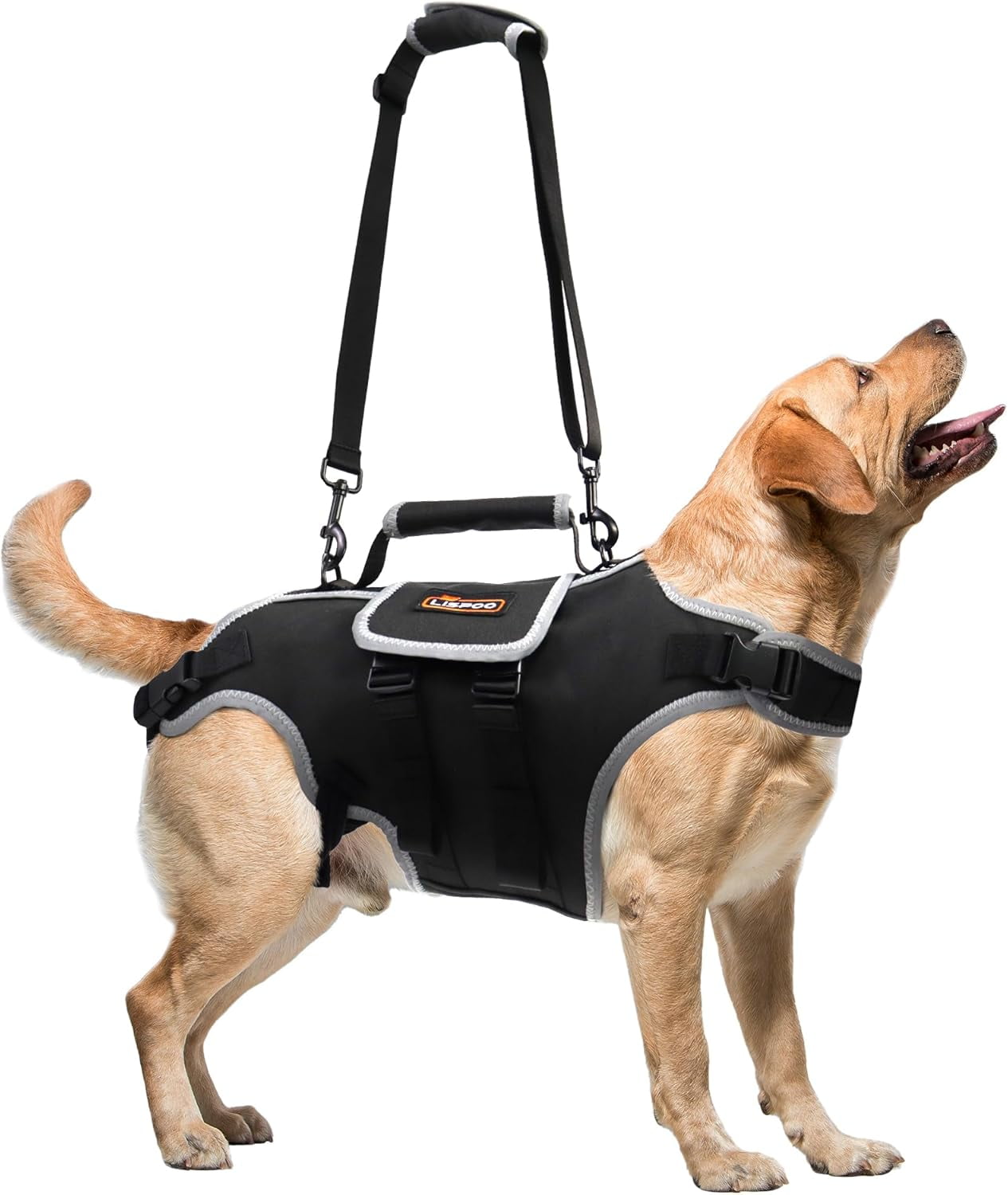 Dog Lift Harness, Full Body Support with Adjustable Control Handle ...