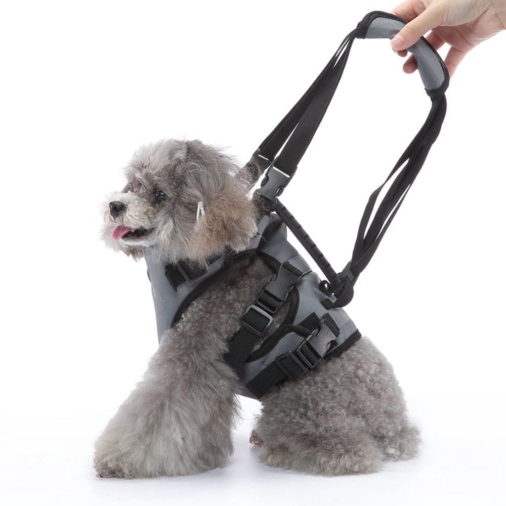 Dog Lift Harness, Full Body Support & Recovery Sling, Pet ...