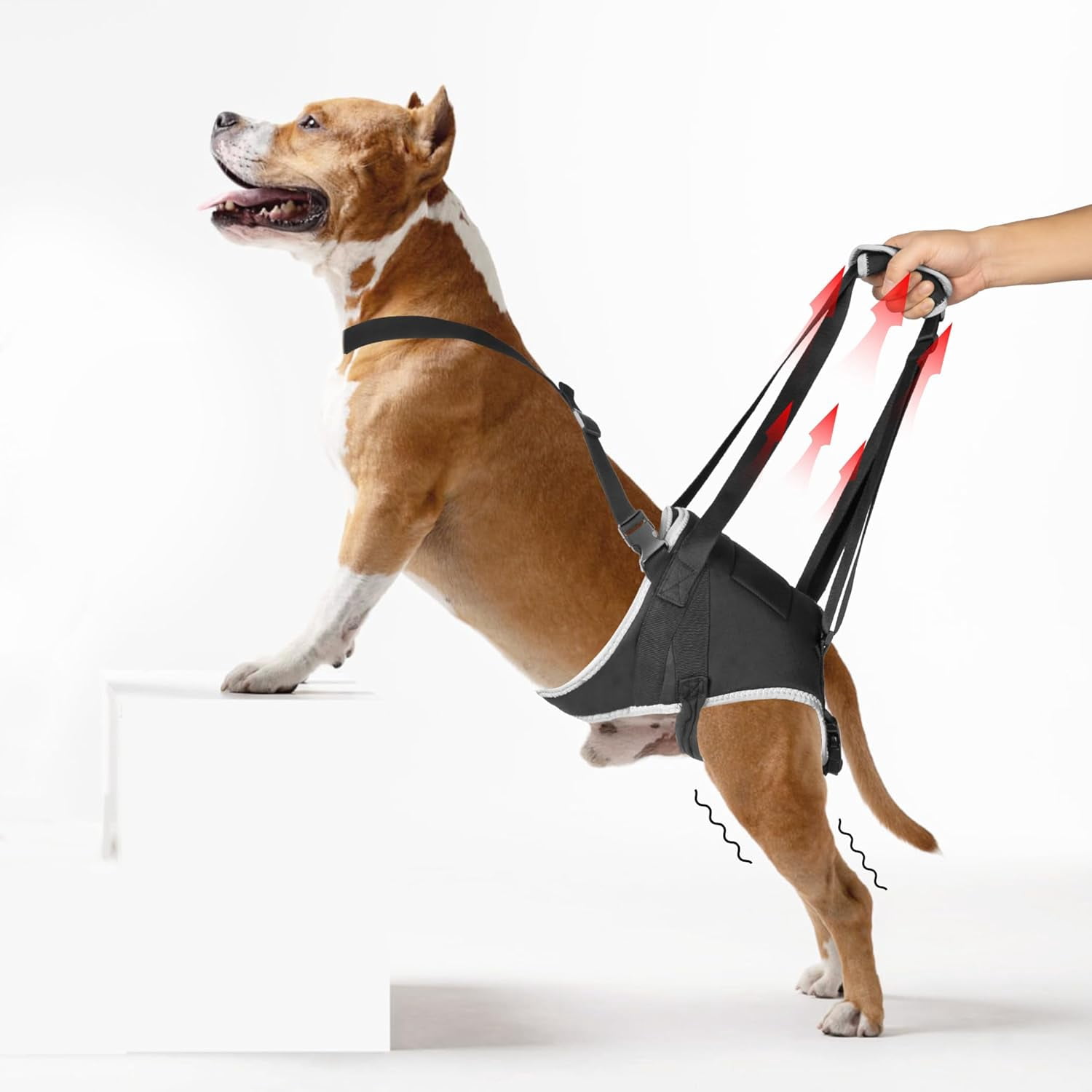 Dog Lift Harness for Large Dogs - for Senior Dogs and Pets with Weak ...