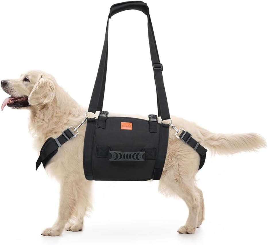 Dog Lift Harness, Pet Support & Rehabilitation Harness for Rear Back ...