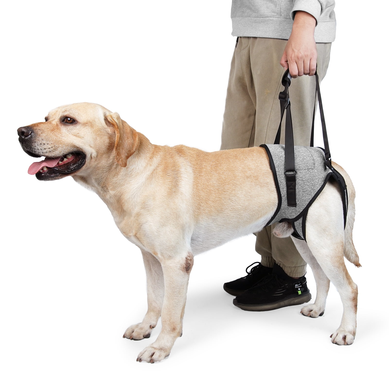 Dog Lifting Harness,Dog Hind Legs Support Strap, Pet Portable Recovery ...