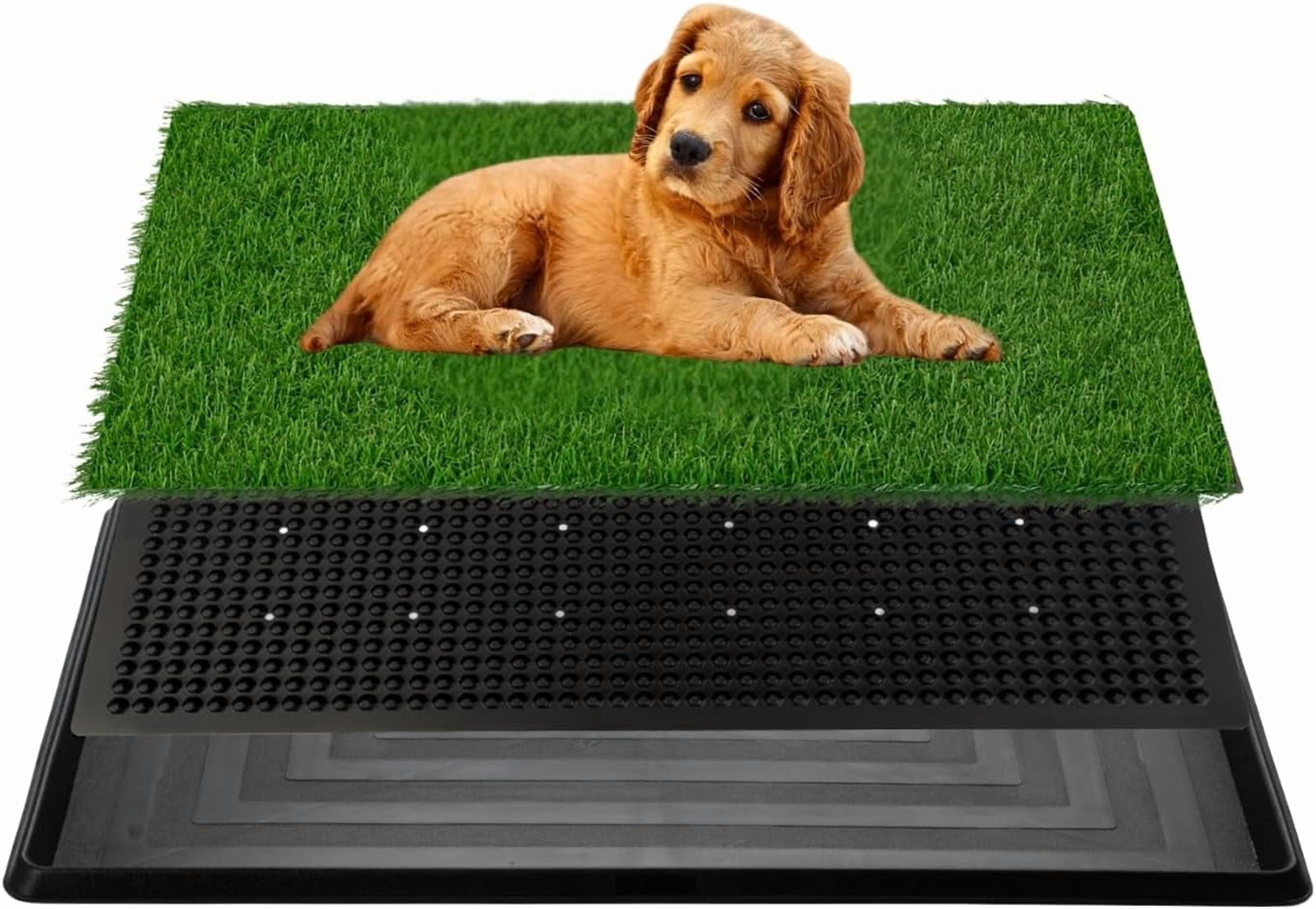 Dog Litter Box with Grass – 16 x 20 inch,Strong Absorbency Grass Pad ...