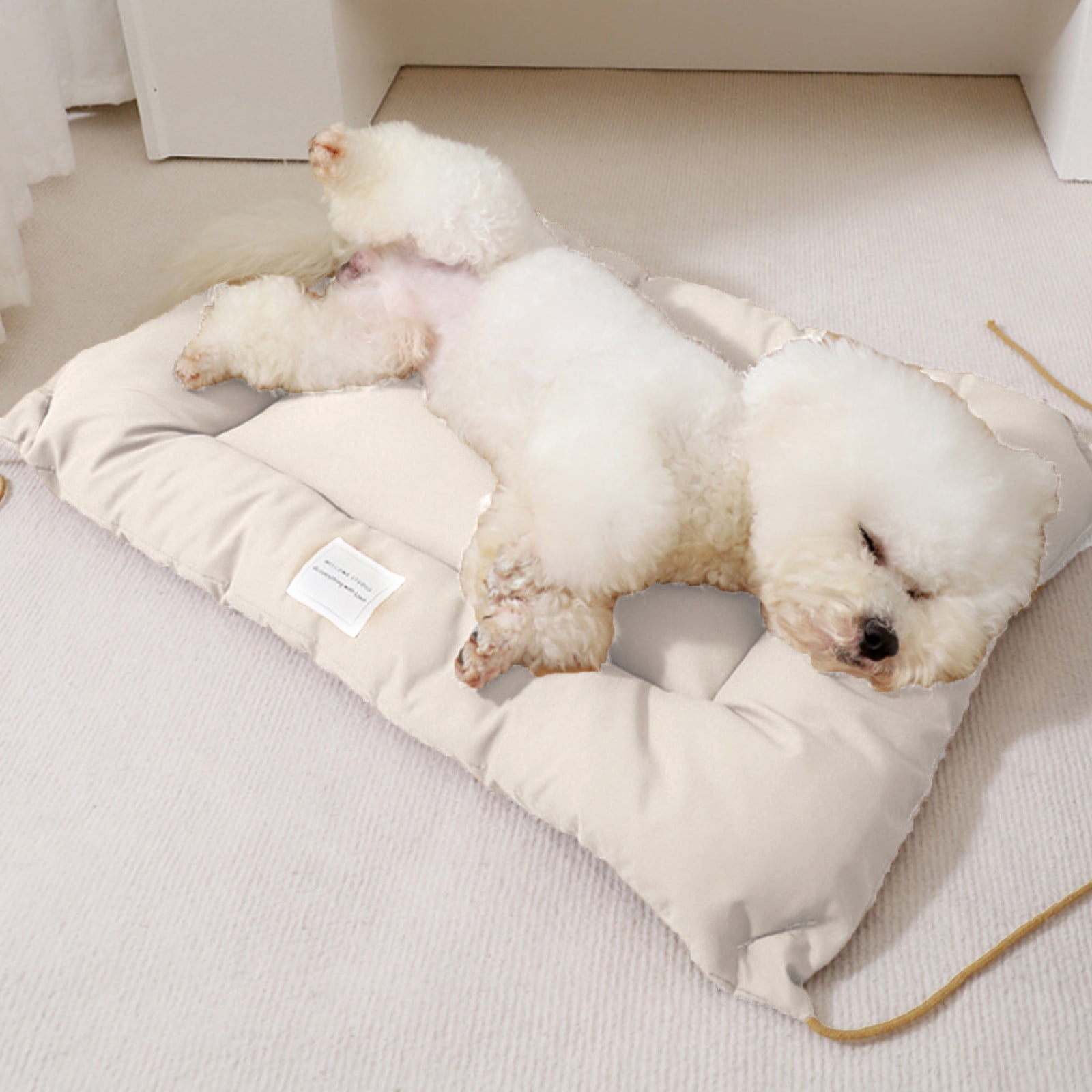 Warm Winter Dog Bed Mat, Thickened Washable Pet Kennel Pad, Non-Slip ...