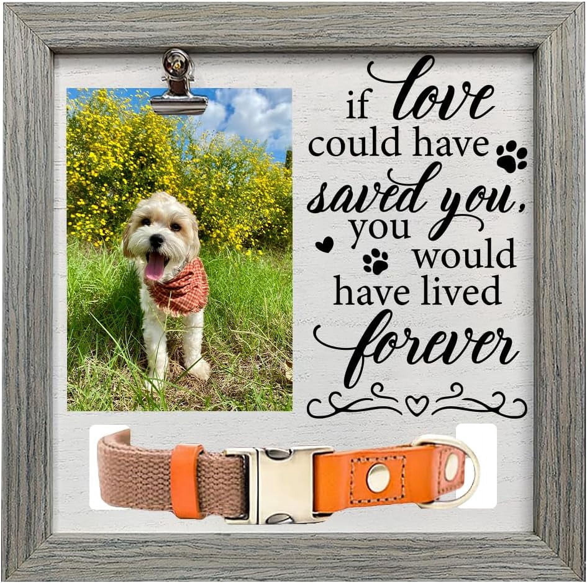 Dog Memorial Picture Frame 9x9 inch If Love Could Have Saved You You ...
