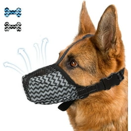 Dog muzzle for biting walmart store