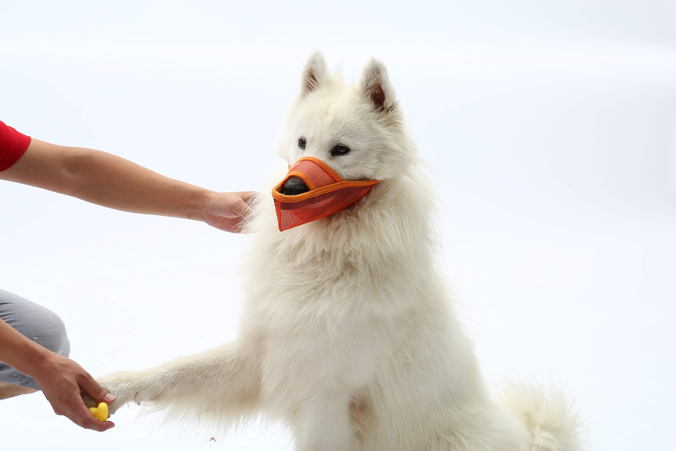 Dog Muzzle Anti Biting Barking and Chewing with Comfortable Mesh Soft ...