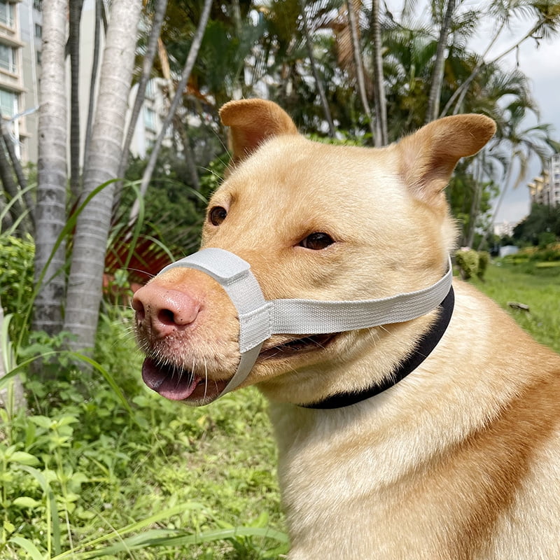 Dog Muzzle Anti-Chew Anti-Detachment Pet Masks for Small, Medium, Large ...