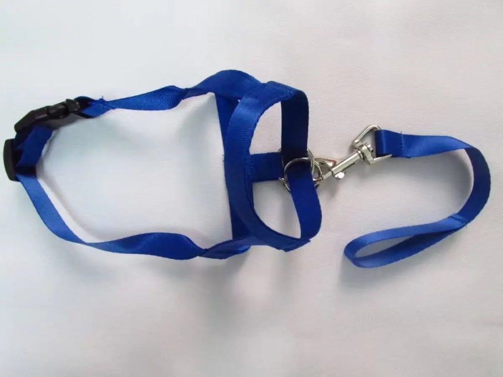 Dog Muzzle Dog Mouth Traction Rope Pet Training Dog Rope Dog Mouth ...