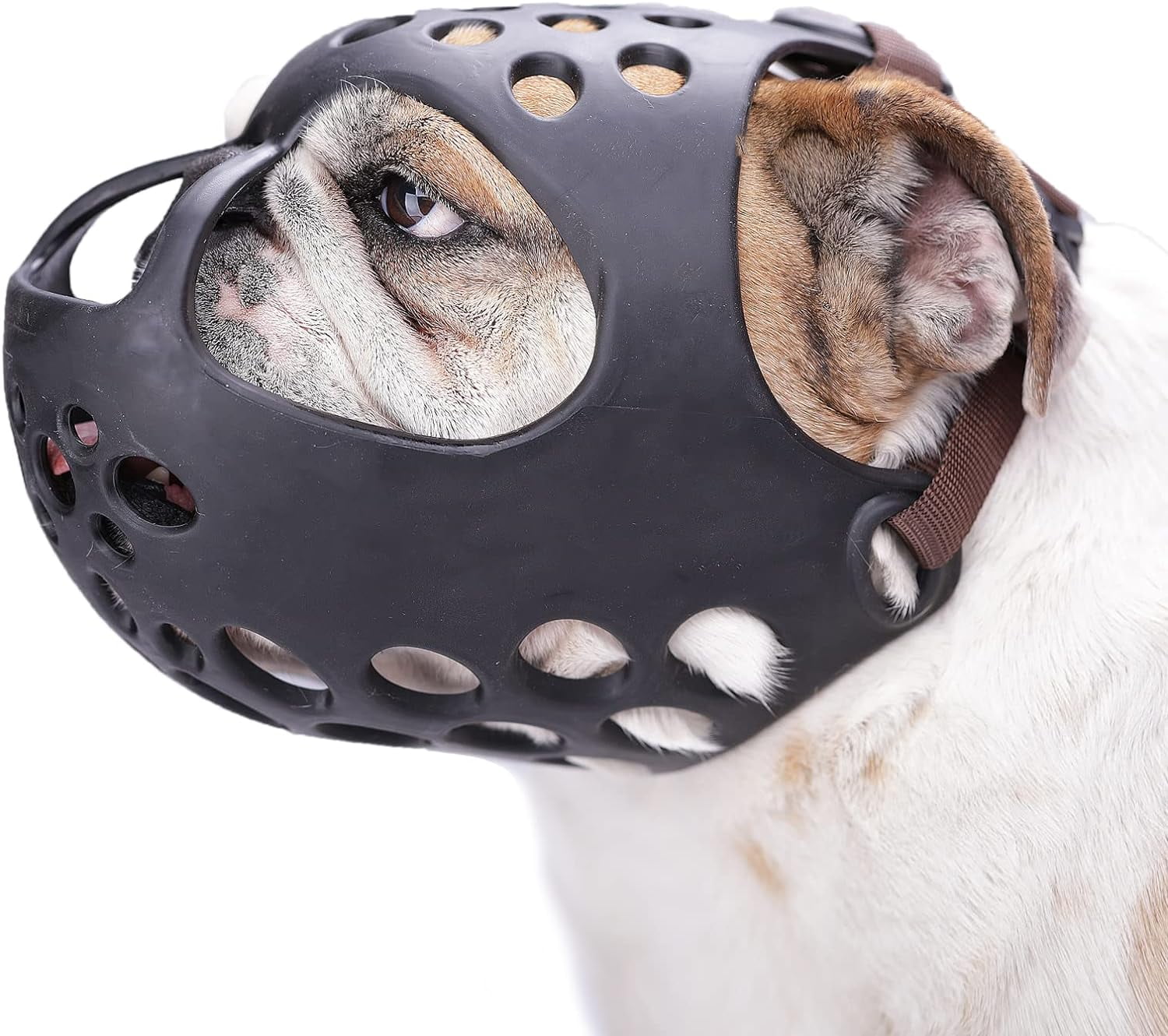 Dog Muzzle for Short Snout, Soft English Bulldog Muzzle for Biting ...