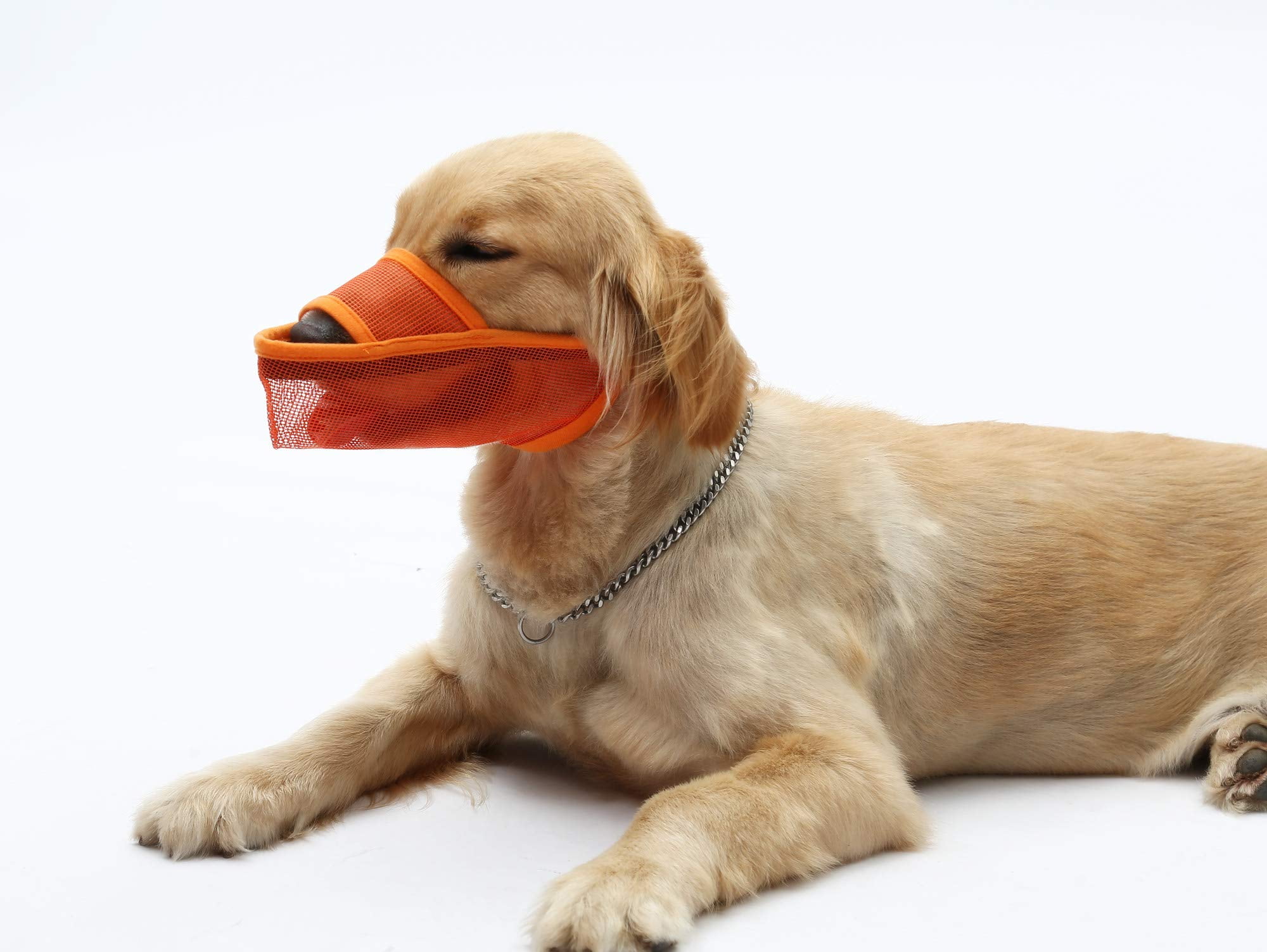 Dog Muzzle,Soft Mesh Muzzle for Large Dogs,Breathable Adjustable ...