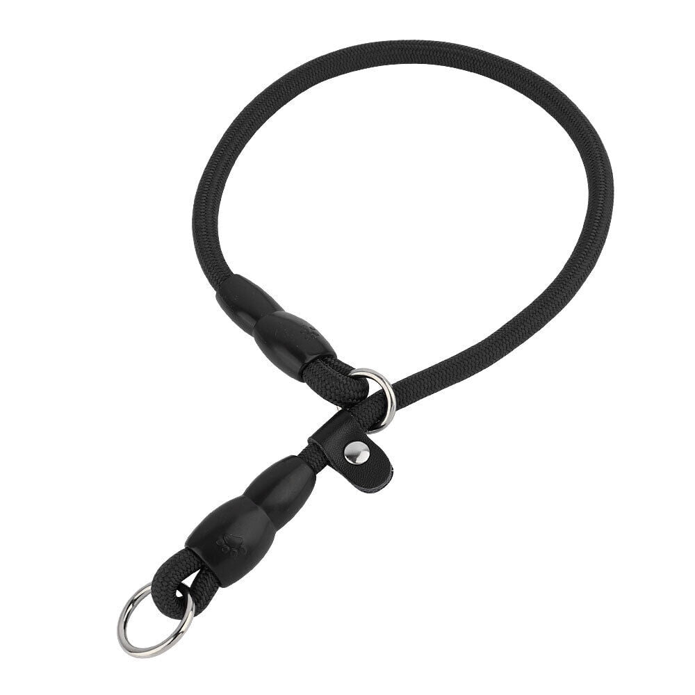 Dog Nylon Loop Slip Rope Leash Lead Adjustable for Training Pet Collar ...