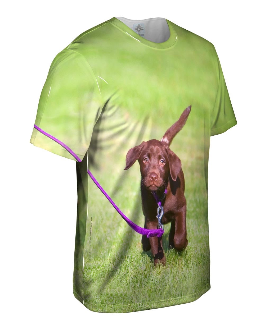 Dog Out For A Walk Mens T-Shirt All Over Print - Walmart.com