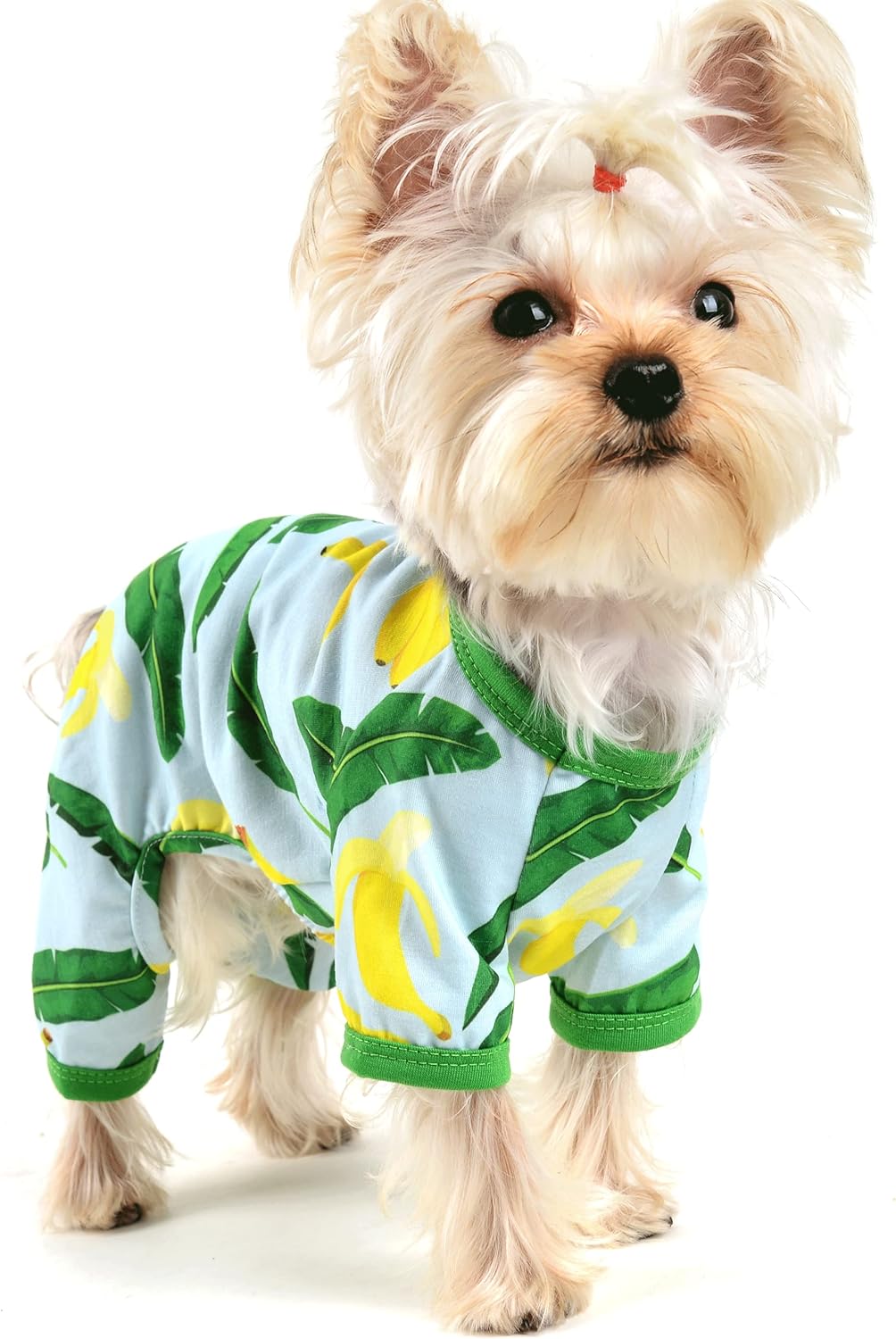 2-Pack Mommy's Boy Dog Shirt Male Puppy Clothes for Small Dog Boy ...