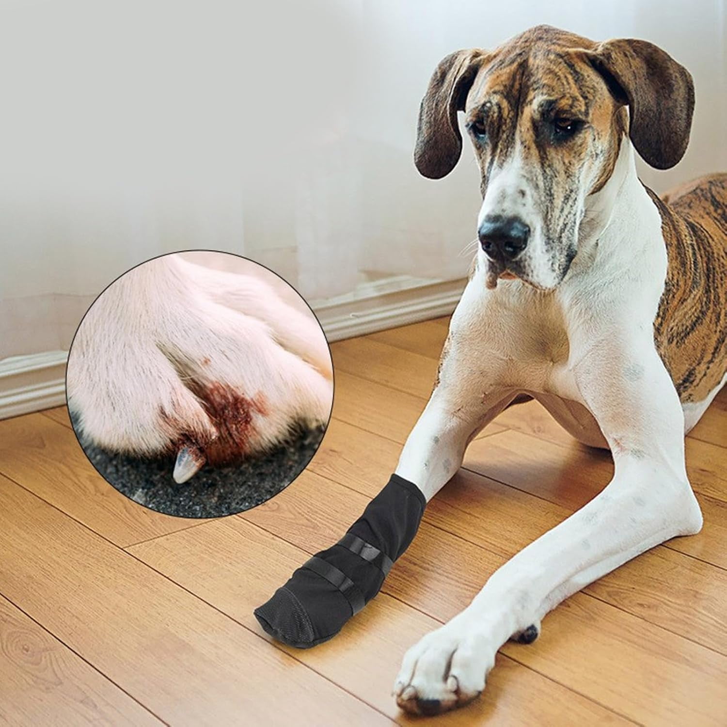 Dog Paws Protector Boot Large Size Water Resistant Soft Recovery Shoe ...