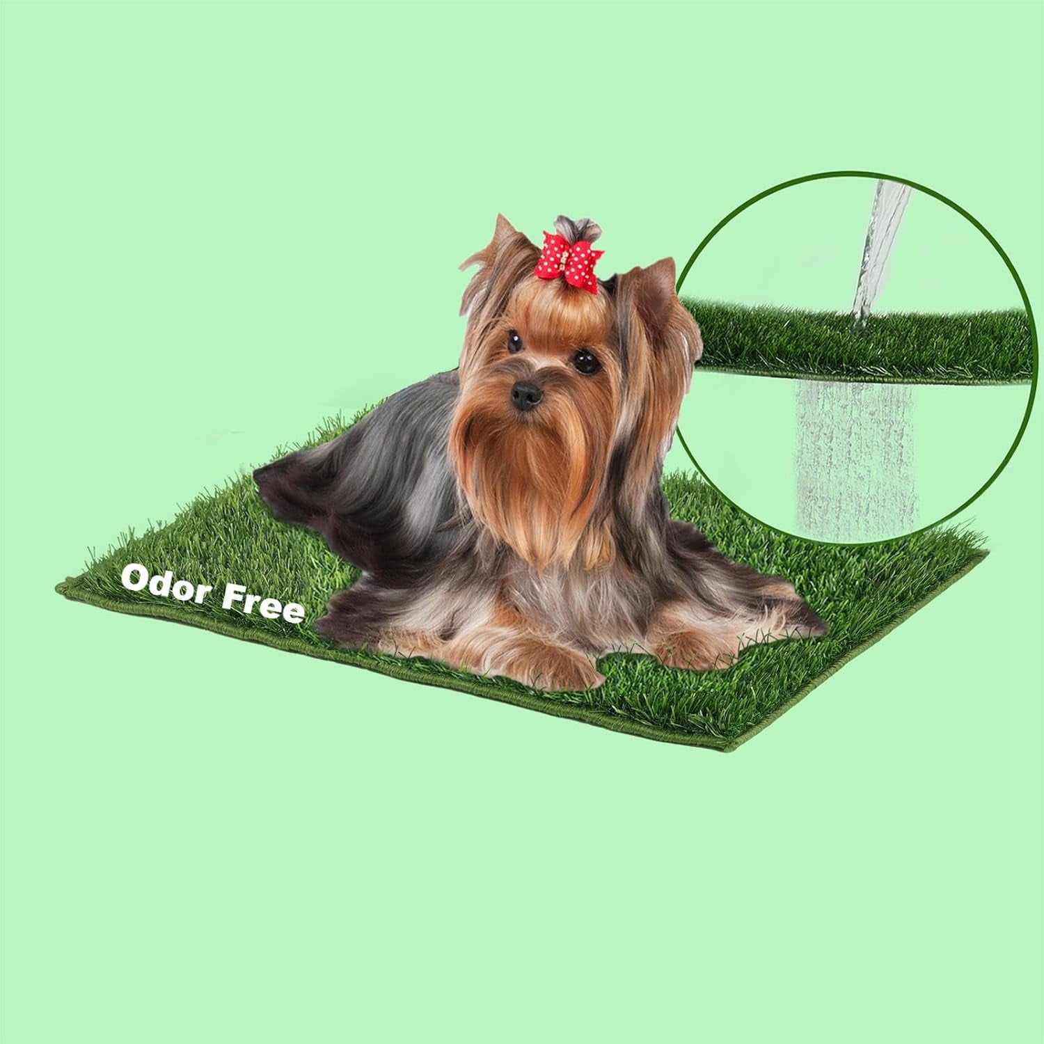 Dog Pee Grass Pad for Dogs Potty, Small Super Absorbent & Odor Free ...