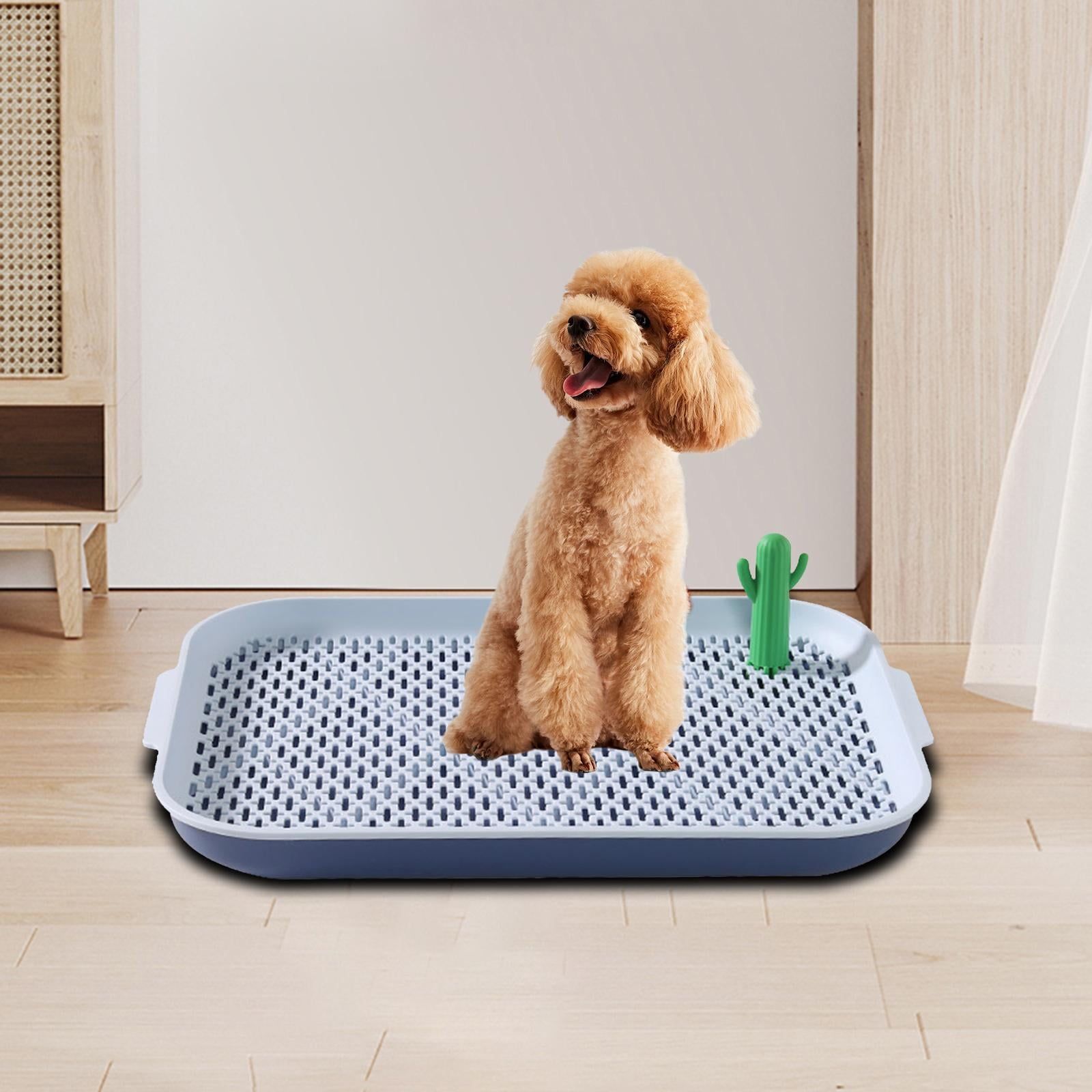 Dog Pee Pad Holder Pets Accessories Dog Toilet Mesh Training Tray Blue ...