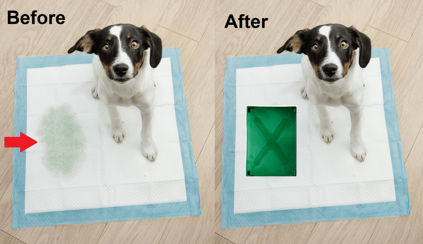 Dog Pee Pads Pee Spot Covers | 3 Red & 3 Dark Green Hide A Pee™️ ...