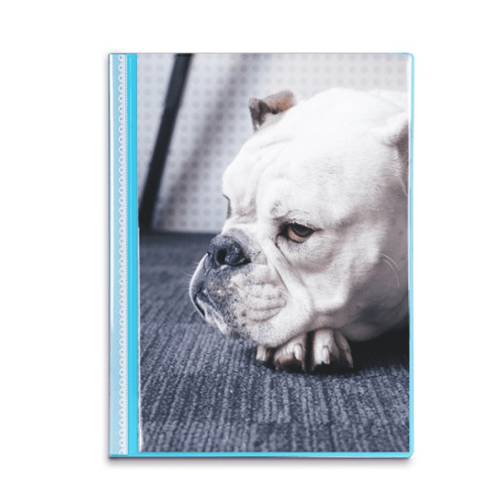 Dog Pet Animal Gray Picture Book Sheet Protectors Portfolio Binder ...