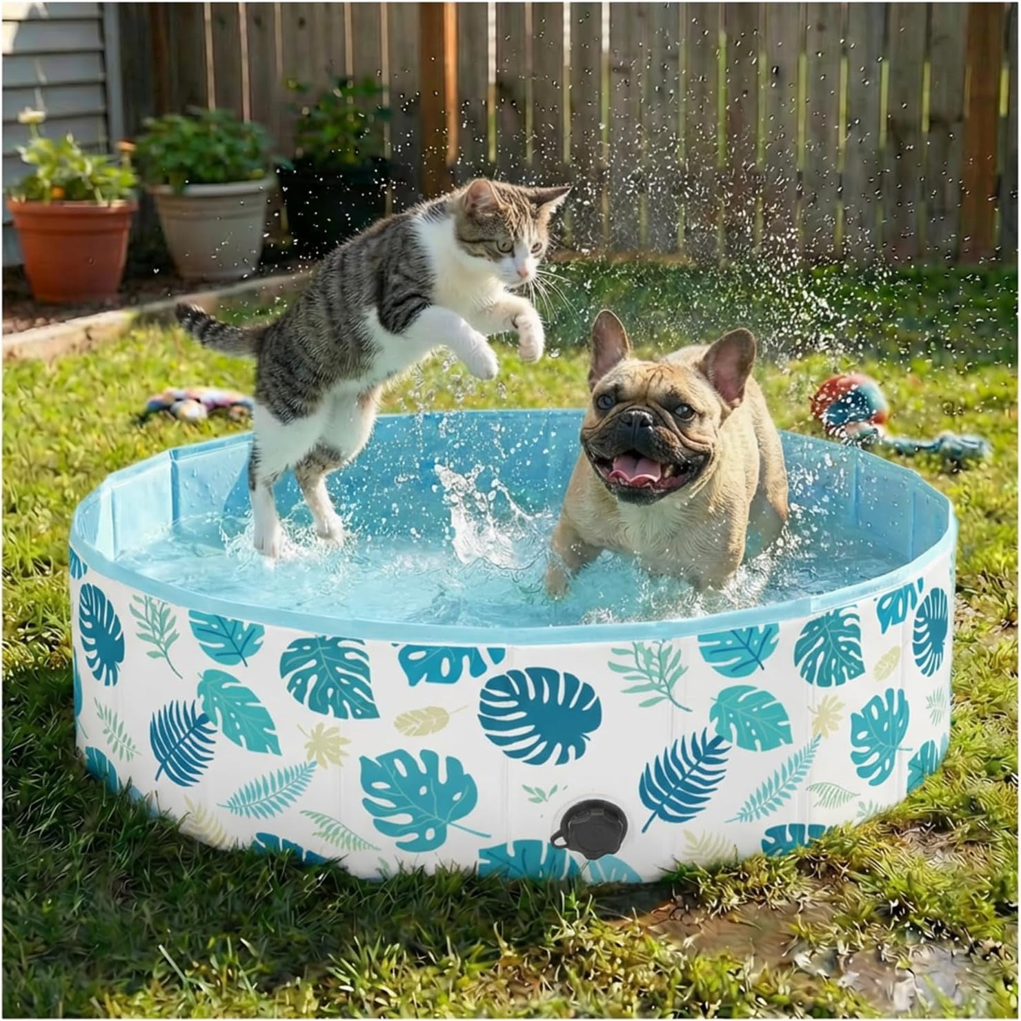 Dog Pool for Small Dogs, Kiddie Pool Hard Plastic Dog Swimming Pool ...