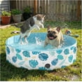 Dog Pool for Small Dogs, Kiddie Pool Hard Plastic Dog Swimming Pool ...