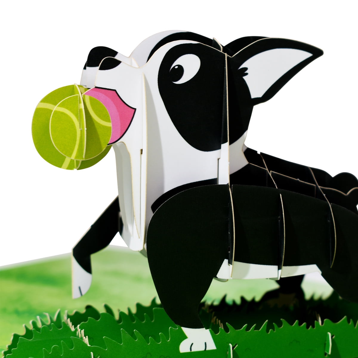 Dog Pop Up Card,3D Pop Up Card,Pop Up Birthday Card,Boston Terrier Pop ...