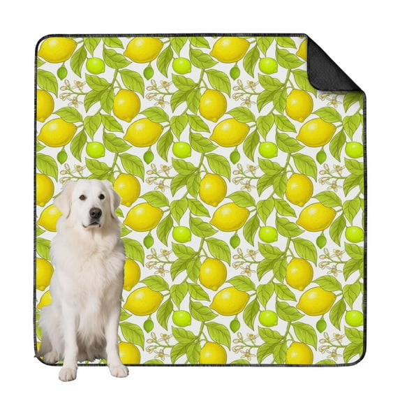 Dog Potty Training Pads Reusable Washable, Bright Fruit Pattern ...