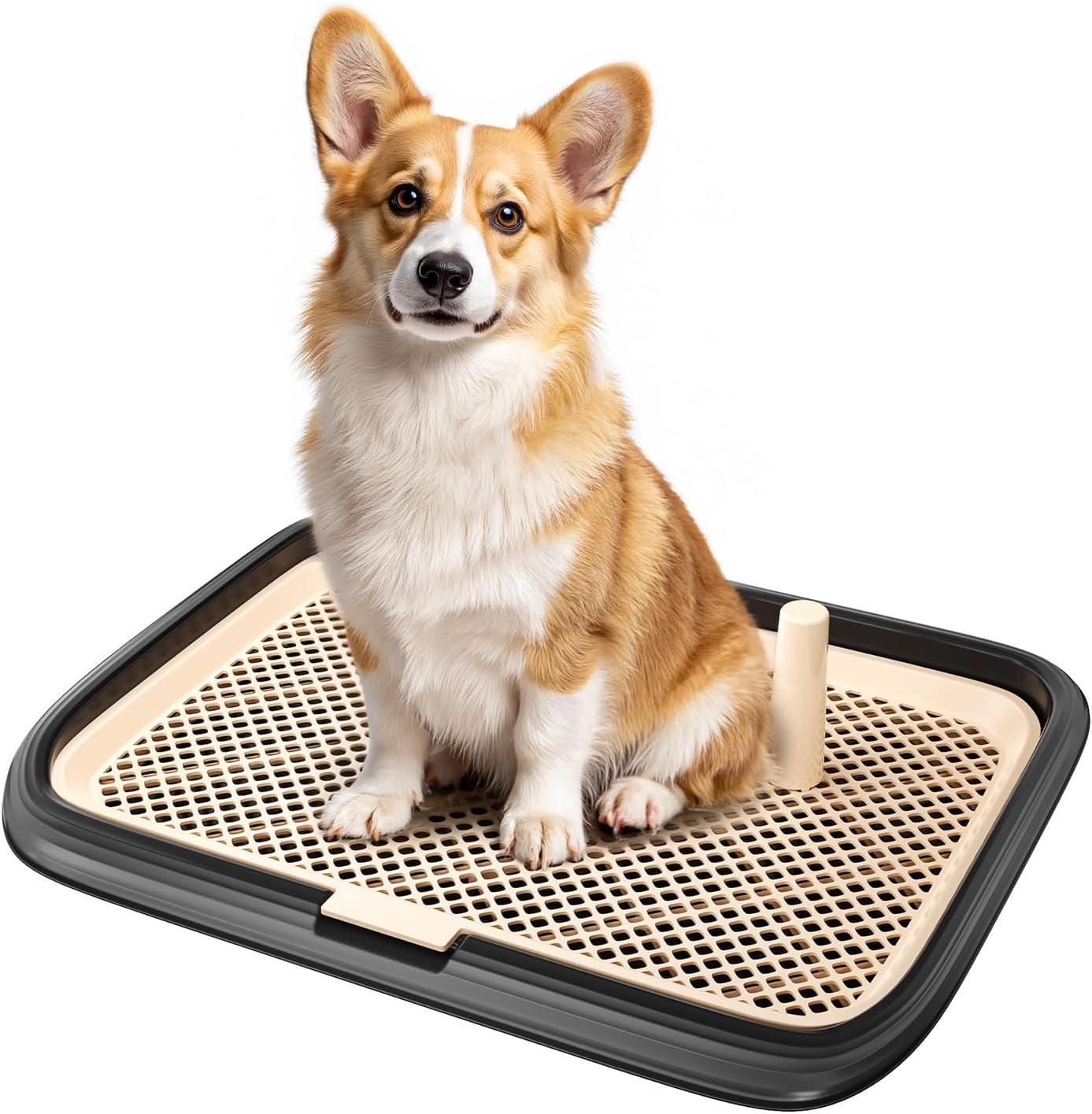 Dog Potty Tray, 23.6"x17.7" Indoor Pet Pee Pad Holder,Puppy Training ...