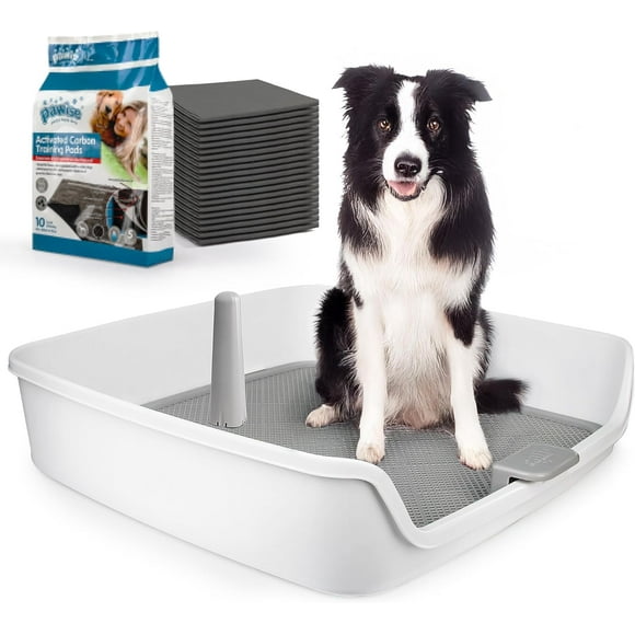 Large Dog Potty Box